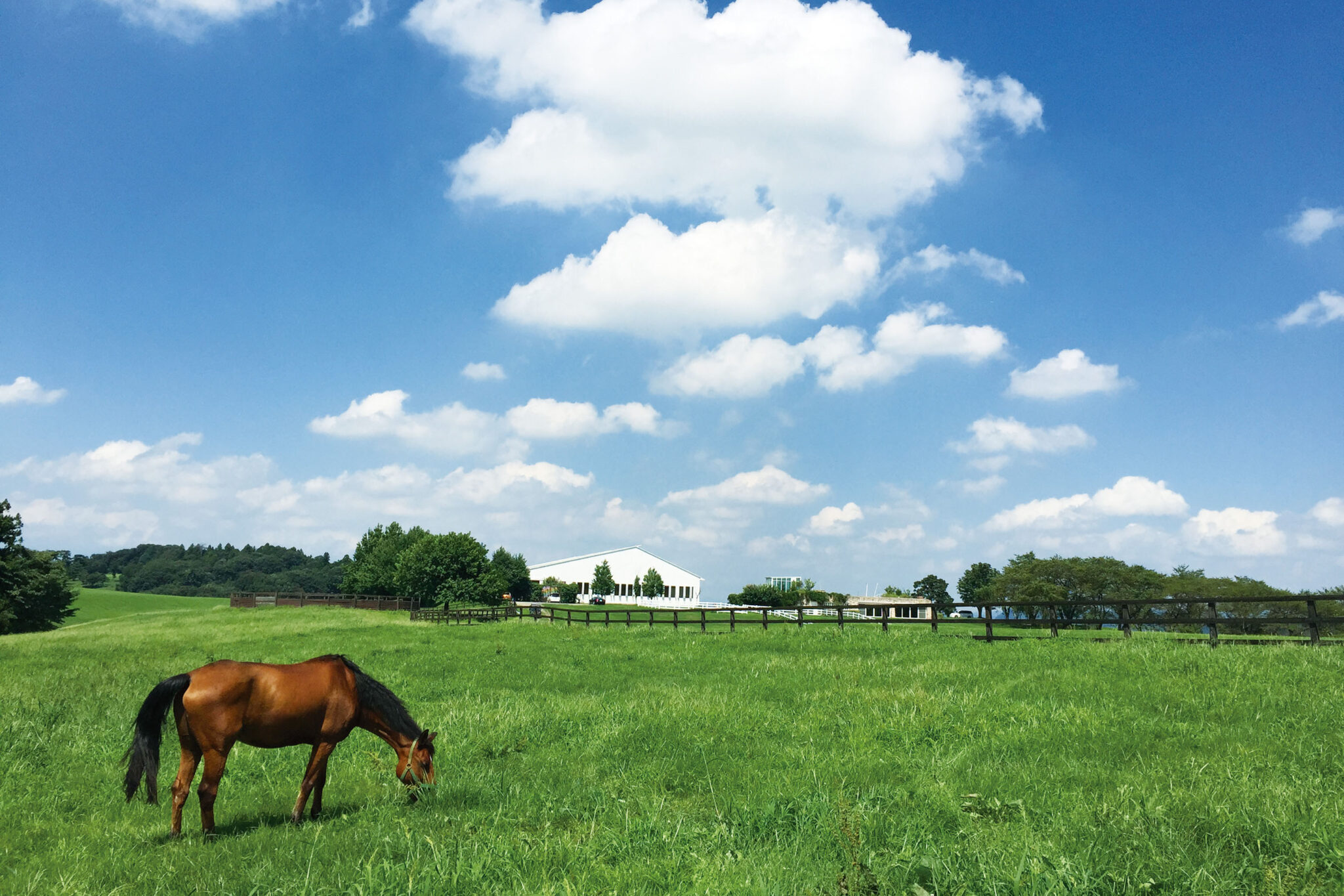 NASU FARM VILLAGE - 馬業界就職ジャーナル・無料求人サイト